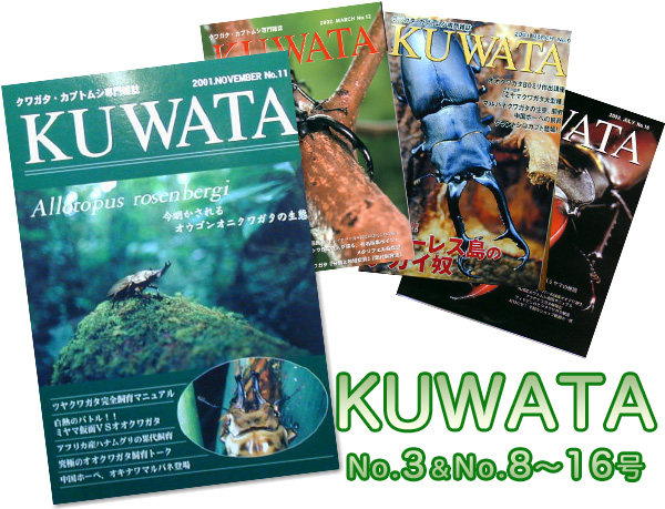 KUWATA（クワタ）3，8〜16号